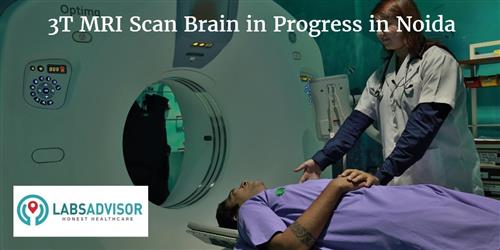 3T MRI Scan Brain Cost in Noida - Get Up to 35% Discount in Best Lab(s ...