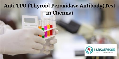 Anti TPO ( Thyroid Peroxidase Antibody ) Cost in Chennai - Get Up to 20 ...