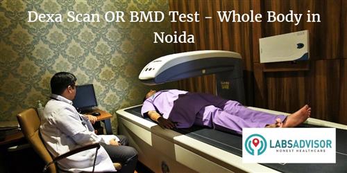 Dexa Scan (BMD) - Whole Body Cost in Noida - Get Up to 15% Discount in ...