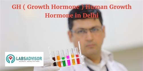 Growth Hormone Test / HGH Test Cost in Delhi - Get Up to 40% Discount ...
