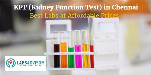 KFT ( Kidney Function Test ) Cost in Chennai - Get Up to 25% OFF in ...