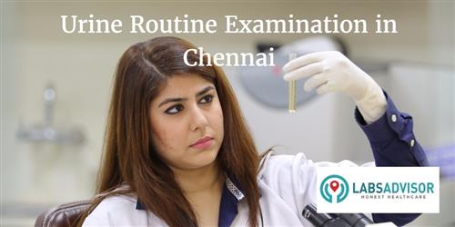 Urine Routine Test Cost in Chennai - Get Up to 25% Discount in Best Lab ...