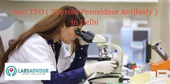 Anti Tpo ( Thyroid Peroxidase Antibody ) Test Price List in India ...
