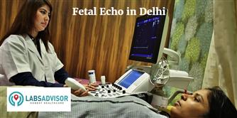 Fetal Echo Test Price List in India | Cost ₹1600 Onwards | LabsAdvisor.com
